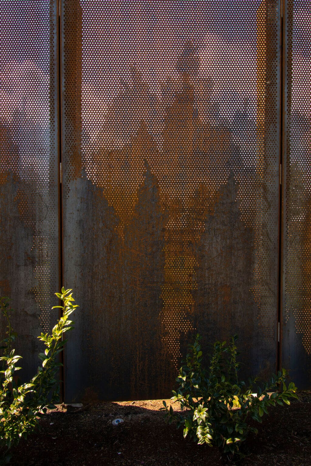 Fora Health: Creating Beauty with Perforated Metal Privacy Panels